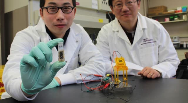 Sugar-Feeding 'BioBattery' Stores 15x More Energy Than Li-Ion Battery ...